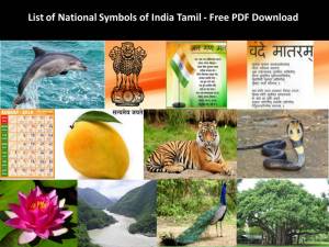 List of National Symbols of India Tamil - Free PDF Download